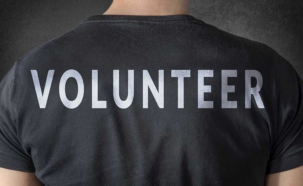 The Value of Volunteering & How to Find Opportunities | Didlake
